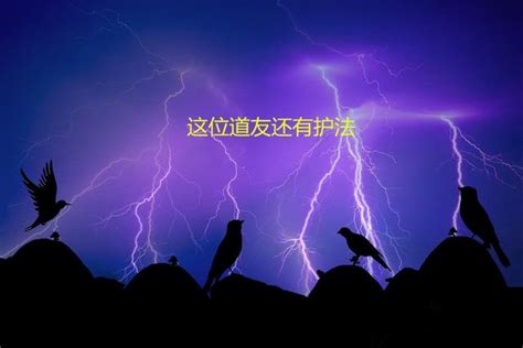 何方道友在此渡劫图片第7页大山谷图库