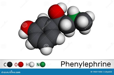 Phenylephrine Molecule It Is Nasal Decongestant With Potent