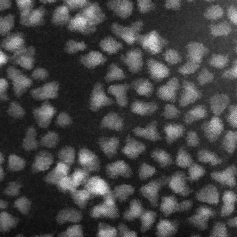 Tem Image Of The Insb Inp Core [image] Eurekalert Science News Releases