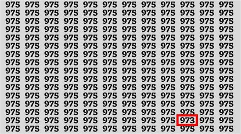 Optical Illusion IQ Test You Have Eagle Eyes If You Can Spot The Number 973 Among 975 In 3 Seconds