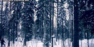 Couple Sex From Finland Suomipornoo Finniish Amateursex Teen Radicalpictures Porn Videos