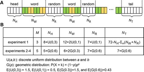 Structure Of The Isochronous Syllable Sequence In Each Experiment A Download Scientific