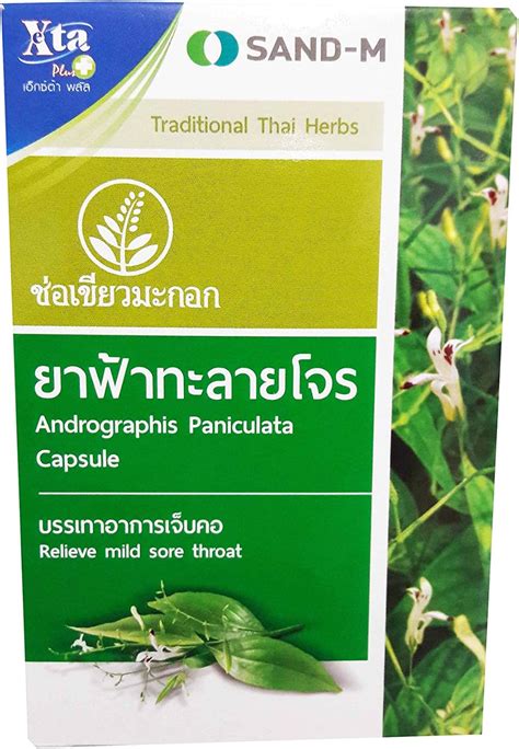 Sandm 3 Boxes Of Andrographis Paniculata Capsule Traditional Thai Herbs Relieve