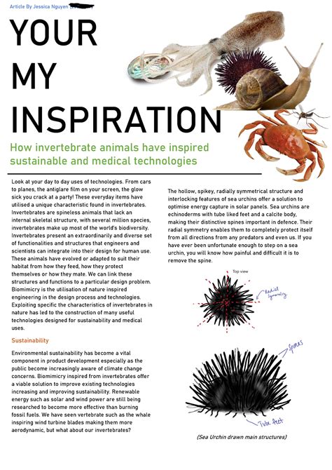 Popular Science Assigment Warning Tt Undefined Function 32 Warning Tt Undefined Function