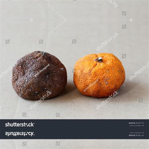 Orange Detection Object Detection Dataset V7 2024 03 05 821pm By University Of Technology