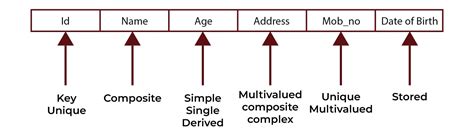 Attributes In Dbms Types And Examples