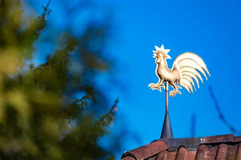 Understanding Graph Attention Networks A Practical Exploration By Farzad Karami Medium