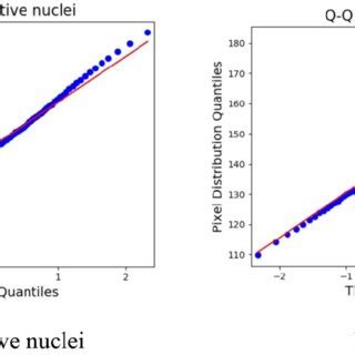 Q Q Plot For The Gaussian Model Of The Positive And Negative Nuclei Download Scientific