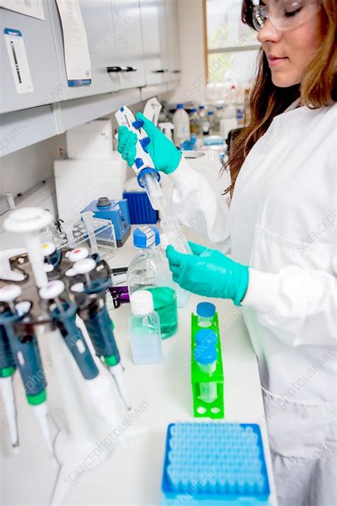 Pipetting Samples Stock Image C Science Photo Library