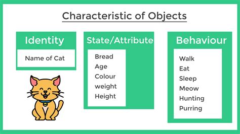 Object In Java Prepinsta
