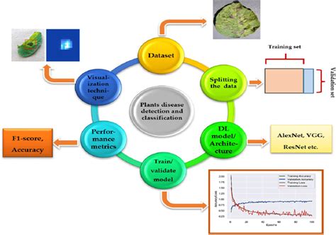 Stages For Plant Disease Recognition And Classification Download