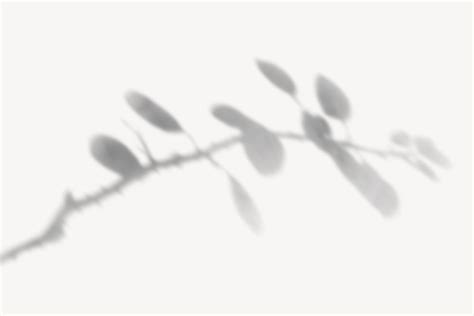 Tree Branch Shadow Illustration Free Photo Rawpixel