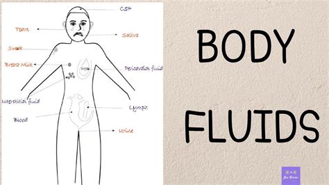 Body Fluids Bio Fluids Malayalam Bio Ocean By Sheethal Maria Youtube