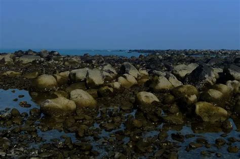 硇洲岛那晏海石滩 硇洲岛海鲜 硇洲岛 第4页 大山谷图库