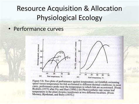 Ppt Resource Acquisition And Allocation Optimal Foraging Theory Powerpoint Presentation Id1096927
