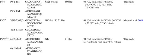 Primers Used For The Detection And Identification Of Potato Virus Y