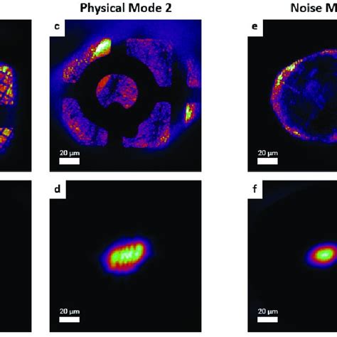 Physical And Noise Modes Of The Temporal Multiplexing Experiment A Download Scientific
