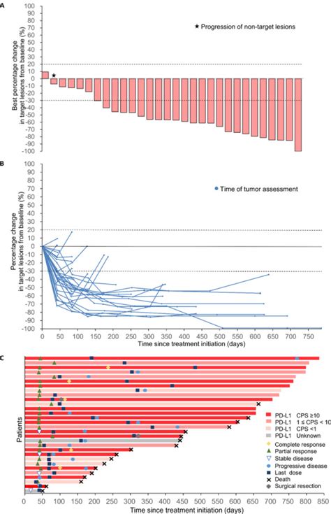 Phase Ii Clinical Trial Using Camrelizumab Combined With Apatinib And