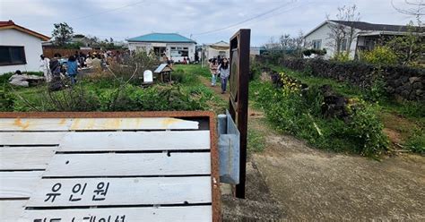 지구를 위한 채식 제2회 천하제일 채식요리 경연대회 열려