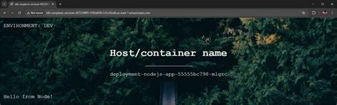 Exposing Kubernetes Pods To Internet With Aws Load Balancer Controller On Eks Using Loadbalancer