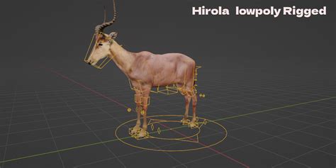 Hirola Superhive Formerly Blender Market