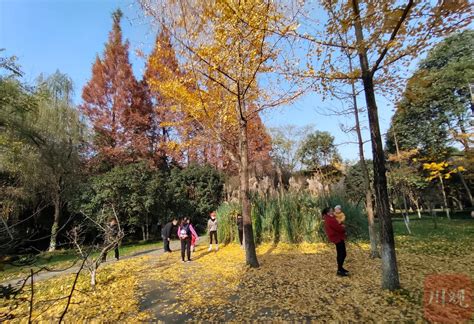 成都开启冬日暖阳模式，快来户外晒太阳！四川在线