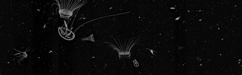 Classifying Plankton With Deep Neural Networks Sander Dieleman