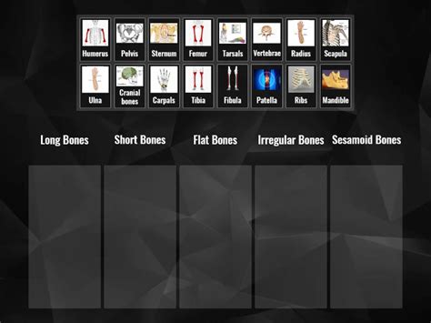 Bone Classification Ordenar Por Grupo
