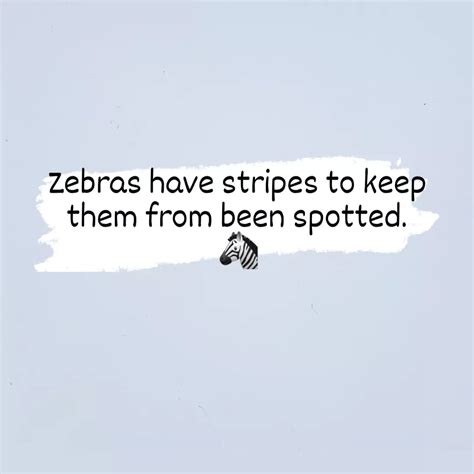 🇭🇲 Aussie Dad Aussiedadhumour • Instagram Photos And Videos