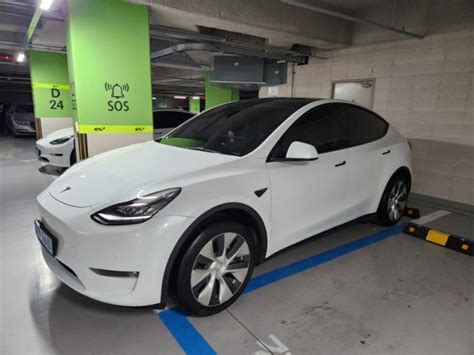 출장세차 세차클링 외부실내 예약 이용후기 할인쿠폰 가격 네이버 블로그