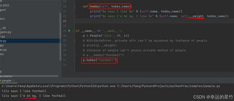 python私有属性和私有方法 python私有属性可以在类的外部调用吗 csdn博客
