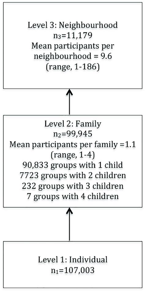 Diagram For The 3 Level Classification Model Of Individuals Nested