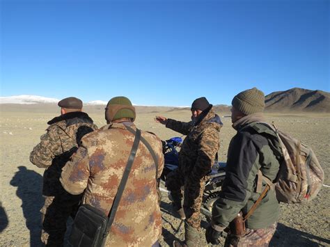 УЛСЫН ХИЛ ОРЧМЫН АРГАЛЬ ХОНИНЫ ТООЛЛОГО ЭХЭЛЛЭЭ ТАС МН