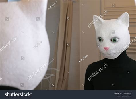 Cat Looking Mirror Reflection Stock Photo Shutterstock