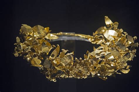 Encyclopedia Amazonica