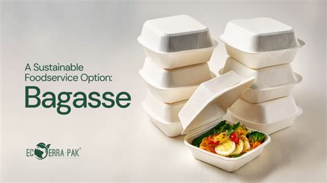 A Sustainable Foodservice Packaging Option Bagasse Eco Terra Pak