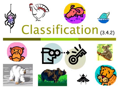 Classification 20 Powerpoint[1] Ppt