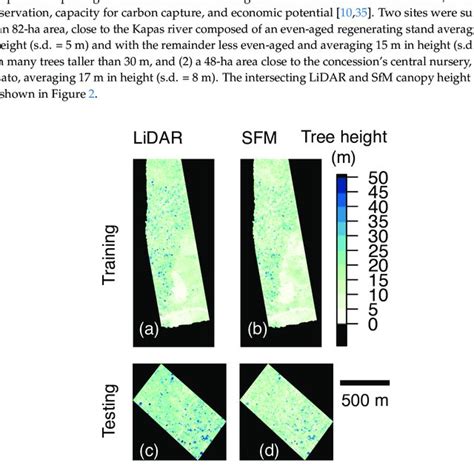 aerial orthophoto lidar canopy height model lidar chm uav sfm download scientific diagram