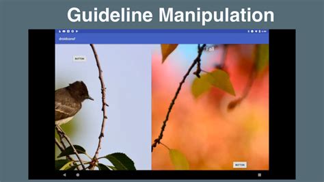 Advanced Animations And Constraintlayout Speaker Deck