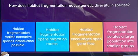 Solved How Does Habitat Fragmentation Reduce Genetic Diversity In Species Habitat Habitat