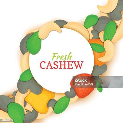 캐슈 너트 대각선 구성 배경에 라운드 화이트 프레임 벡터 카드 그림입니다 Cashewnut 프레임 셸에서 양 개 암 나무 열매 건강 한 음식 메뉴의 포장 디자인에 대 한