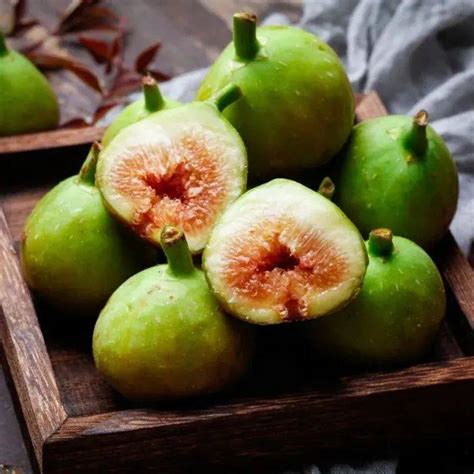 无花果，太厉害了！难以置信！ 的作用 连服 咽喉