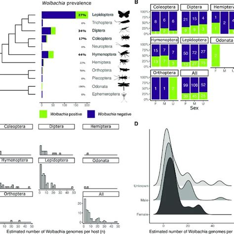 Prevalence And Relative Abundance Of Wolbachia In Dtol Insect Genomes