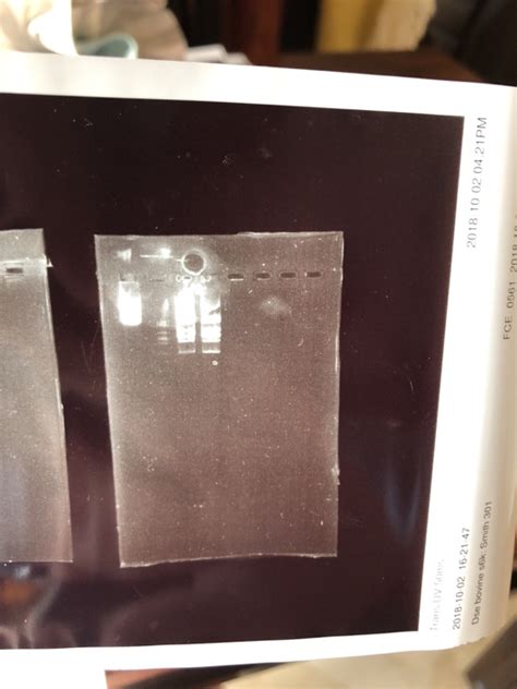restriction endonucleases phage lambda dna and dna