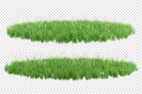 Premium Psd Various Types Of Grass Rendering Isolated Premium Psd Various Types Of Grass Rendering Isolated