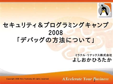 Programming Camp 2008 Debug Pdf