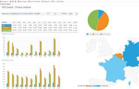 Jedox For Sales Informatec