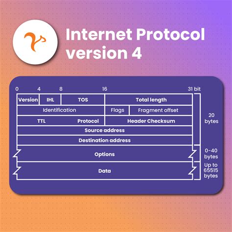 What Is Ipv4 Learn About Internet Protocol Version 4 Netnut