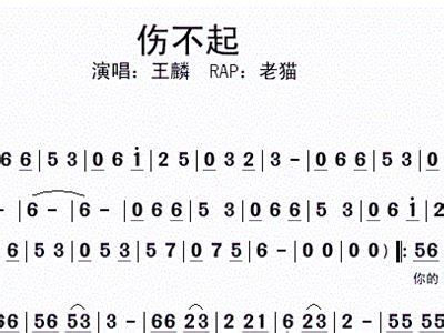 伤不起 王麟 RAP 老猫 歌谱 简谱