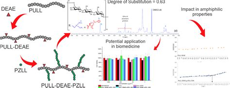 Preparation And Characterization Of Cationic Pullulan Based Polymers With Hydrophilic Or